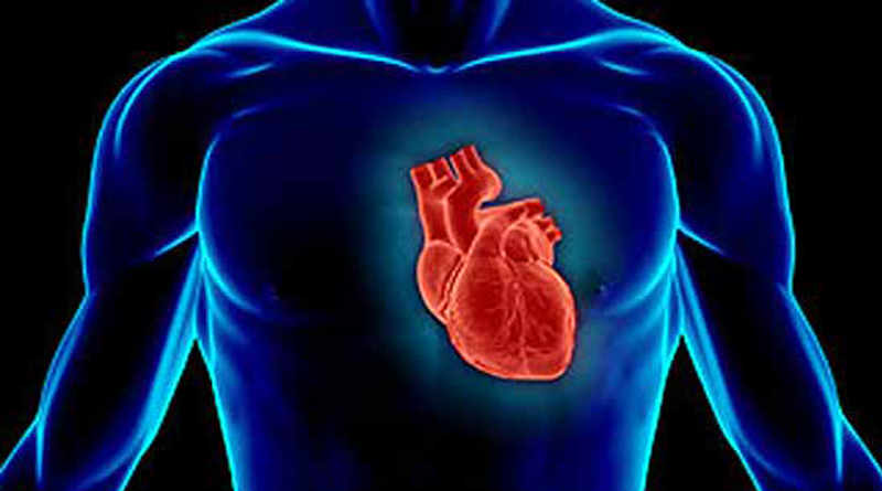 kardia - AboutKastoria.gr